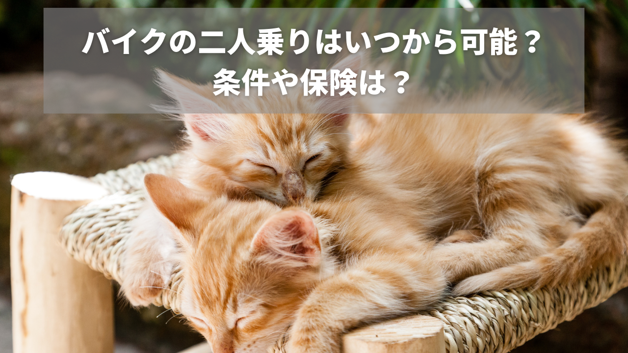 【2022年版】バイクの二人乗りはいつから可能？条件や保険は？ - SBIのバイク保険比較